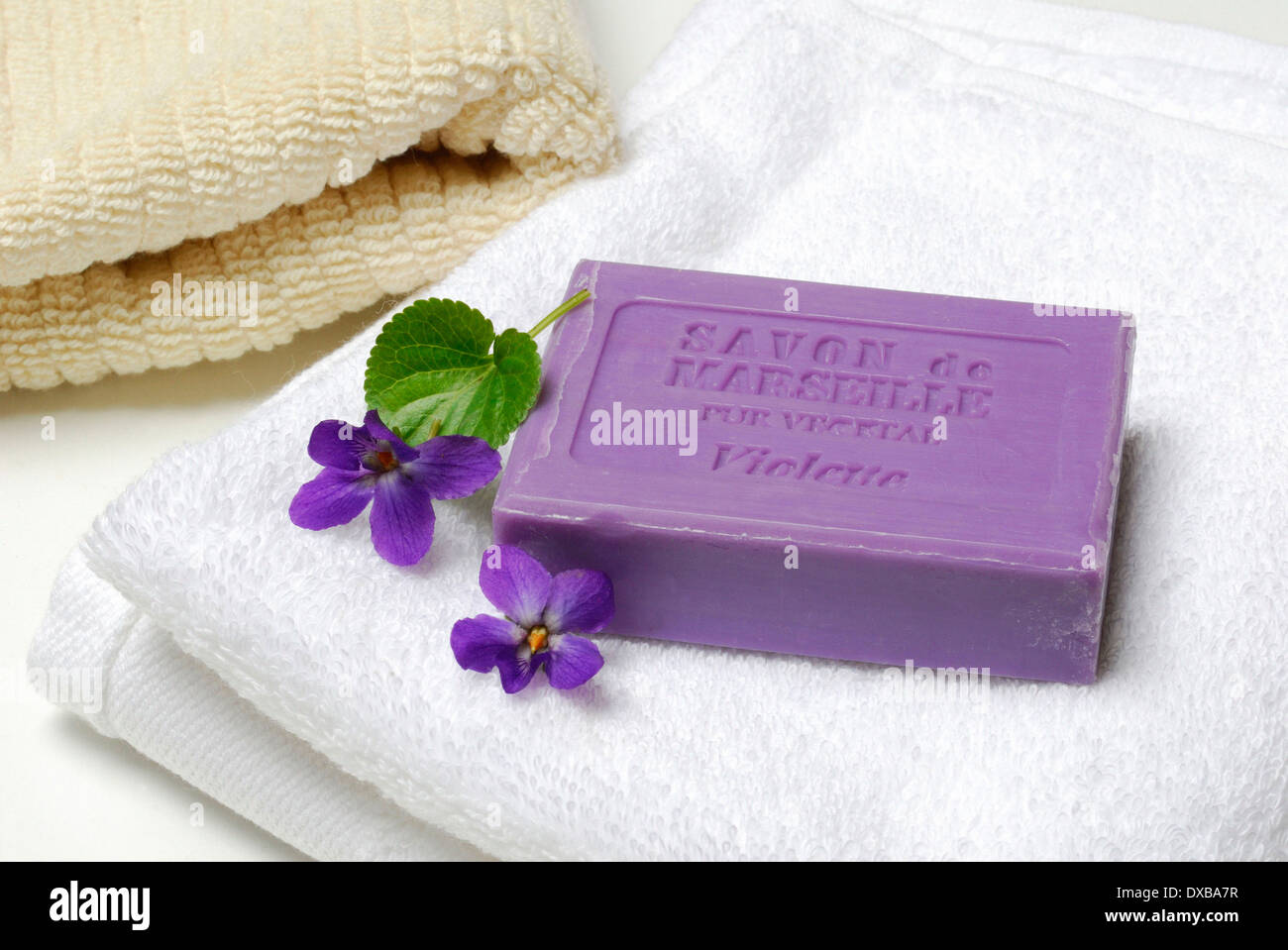 Violet colour images hi-res stock photography and images - Alamy