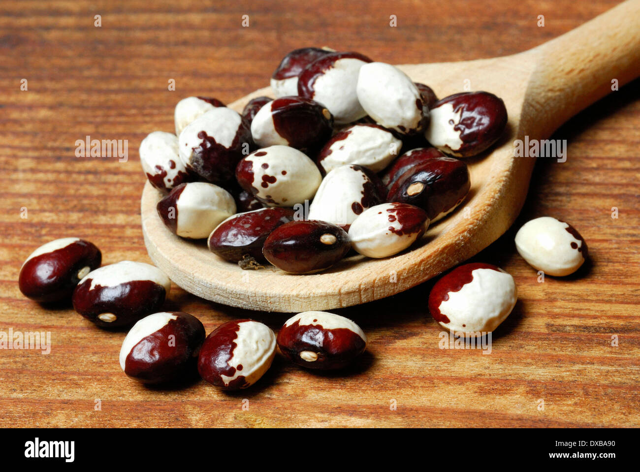 Common bean variety hi-res stock photography and images - Alamy