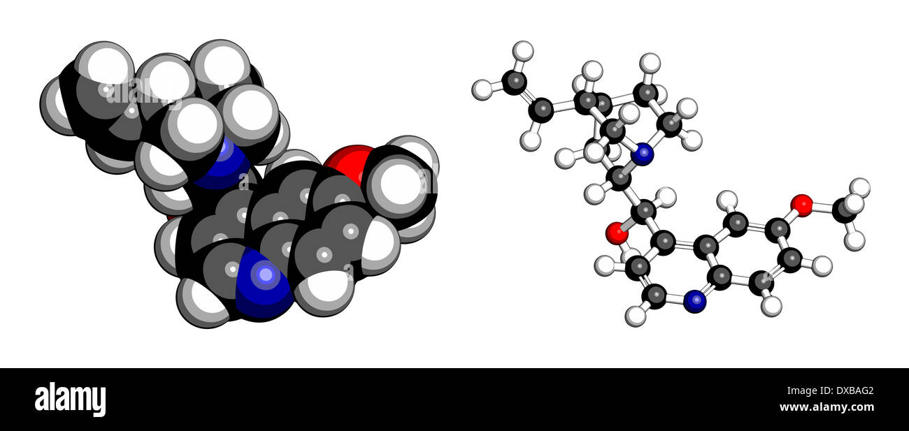 Quinine malaria drug molecule. Isolated from cinchona tree bark. Atoms ...