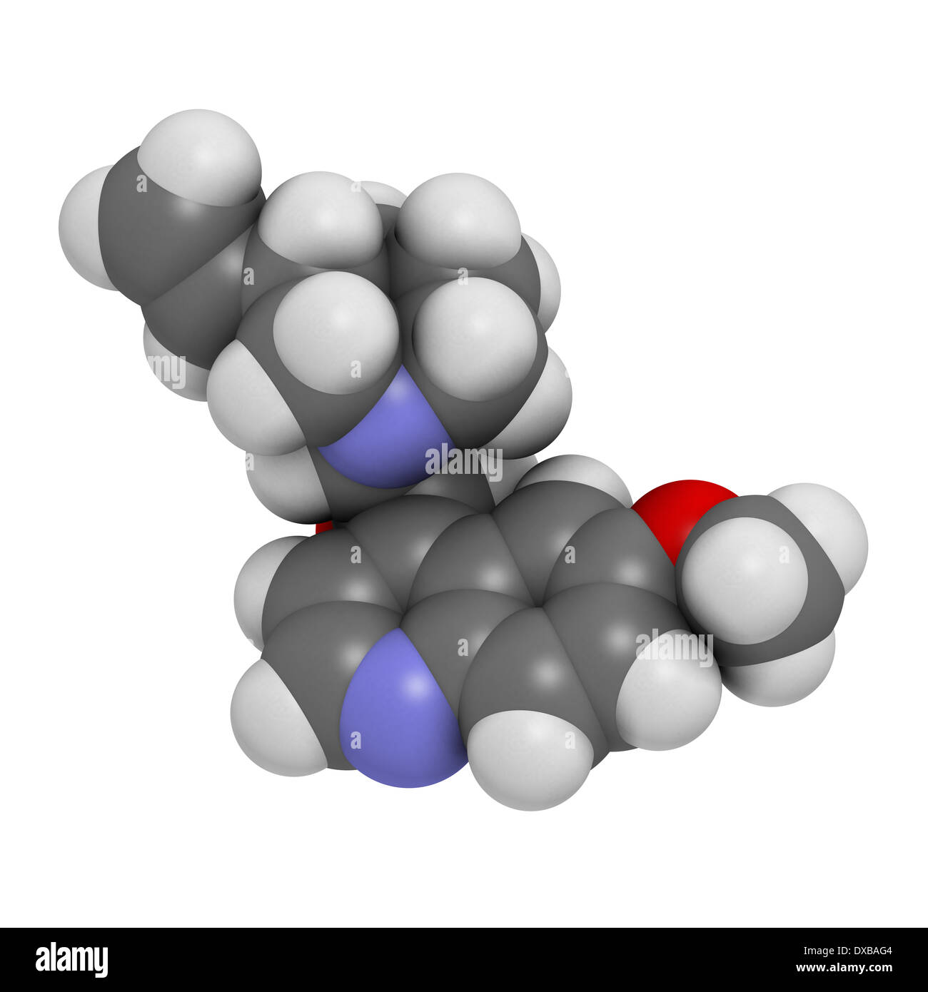 Cinchona tree hi-res stock photography and images - Alamy