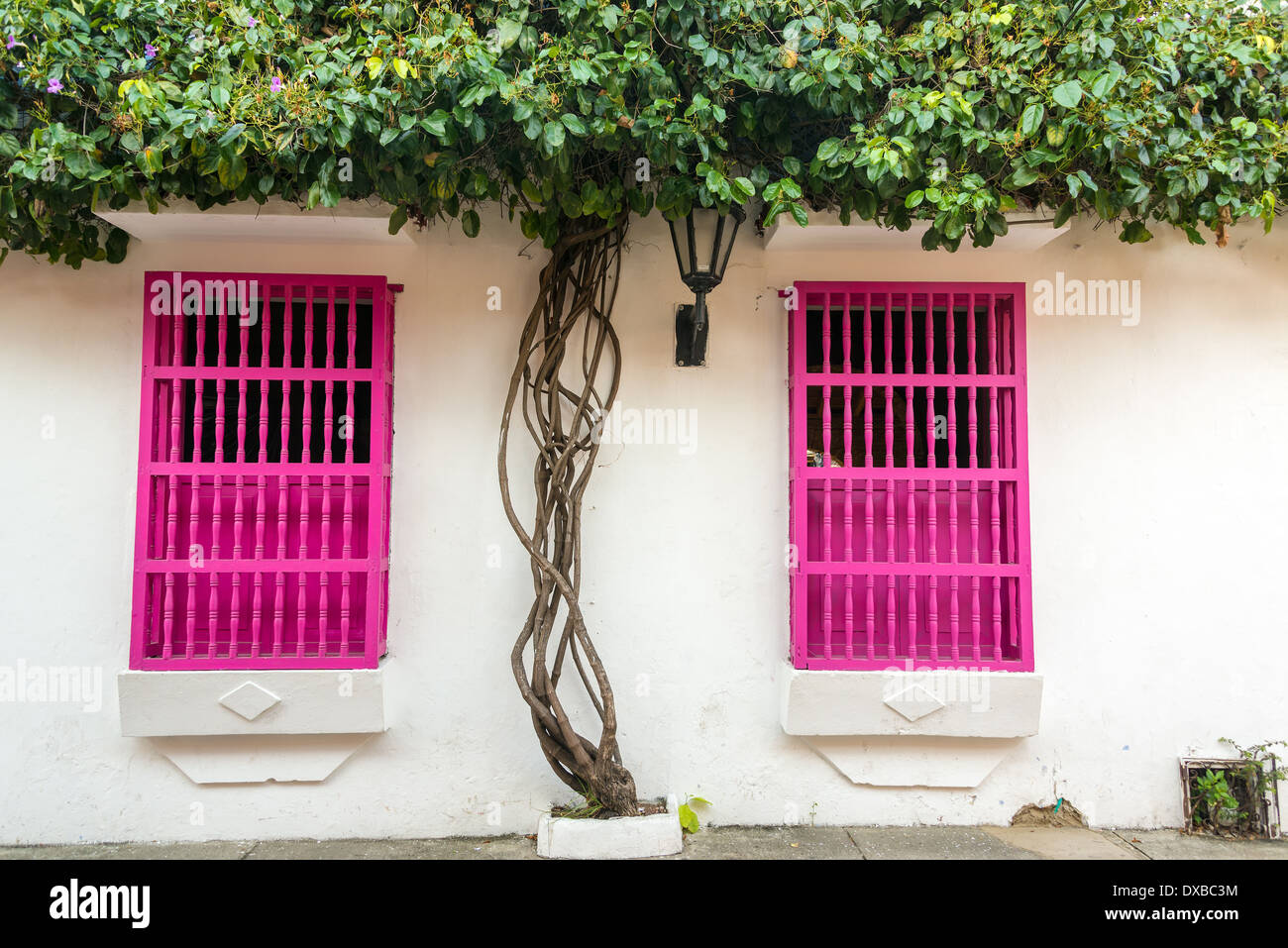 Pink windows and white walls on a colonial building in the historic ...
