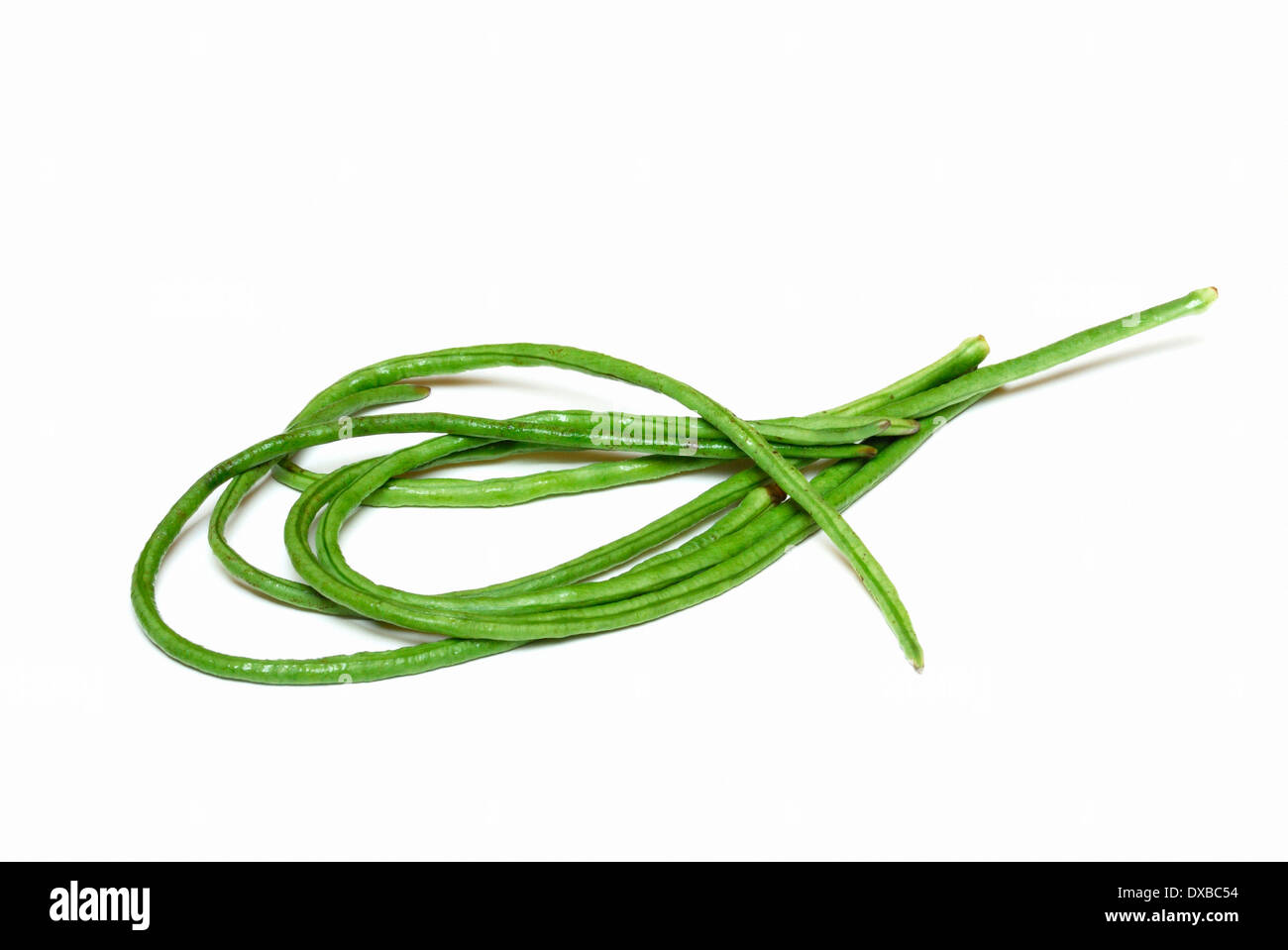 Cowpea hi-res stock photography and images - Alamy