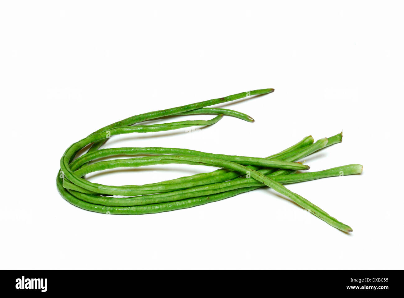 Cowpea hi-res stock photography and images - Alamy