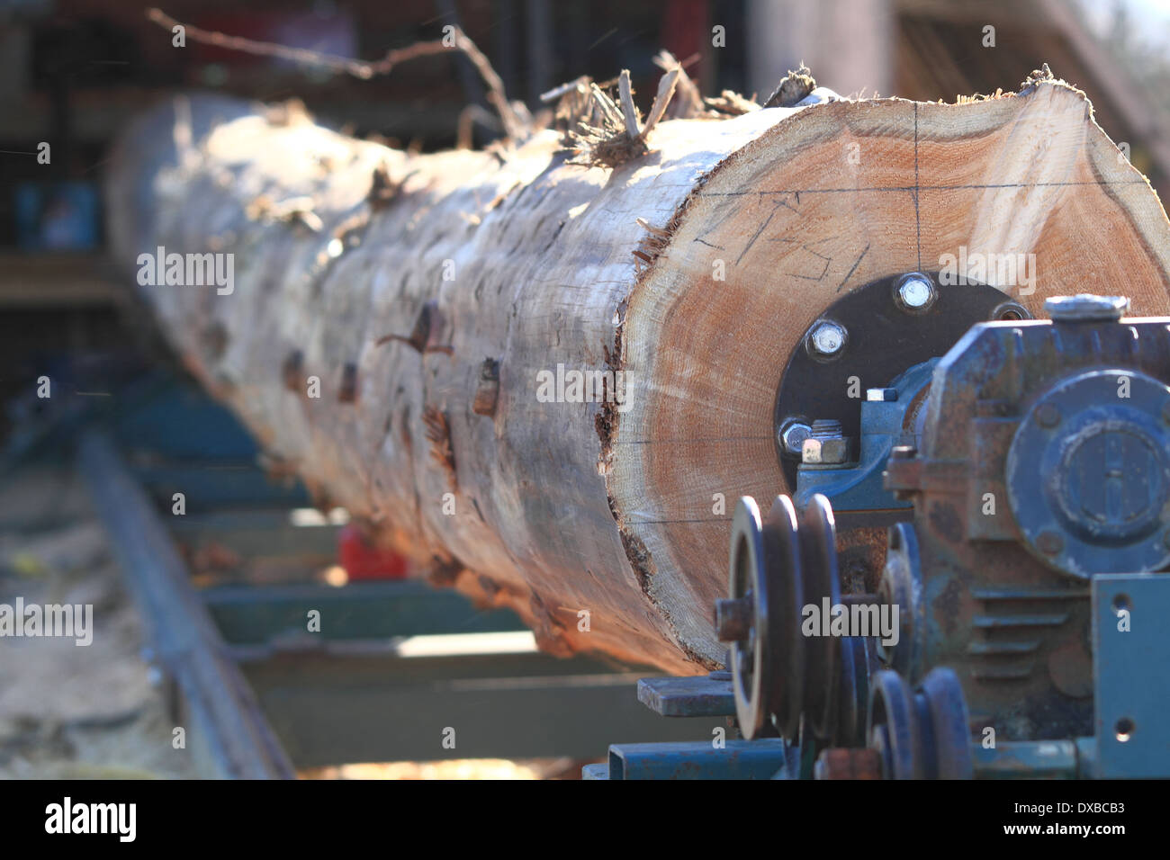 Saw log hi-res stock photography and images - Alamy