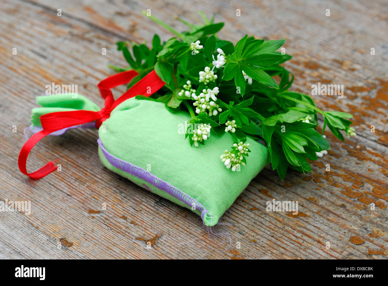 Woodruff plants hi-res stock photography and images - Alamy