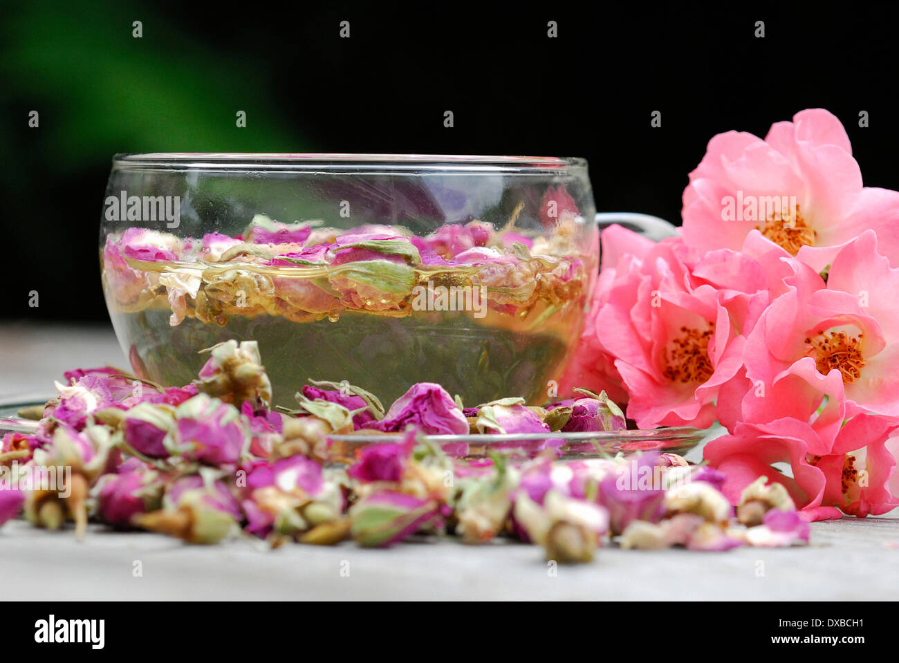 Rose blossom drink hi-res stock photography and images - Alamy