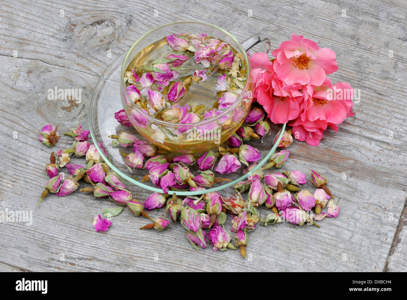 Rose from above hi-res stock photography and images - Alamy