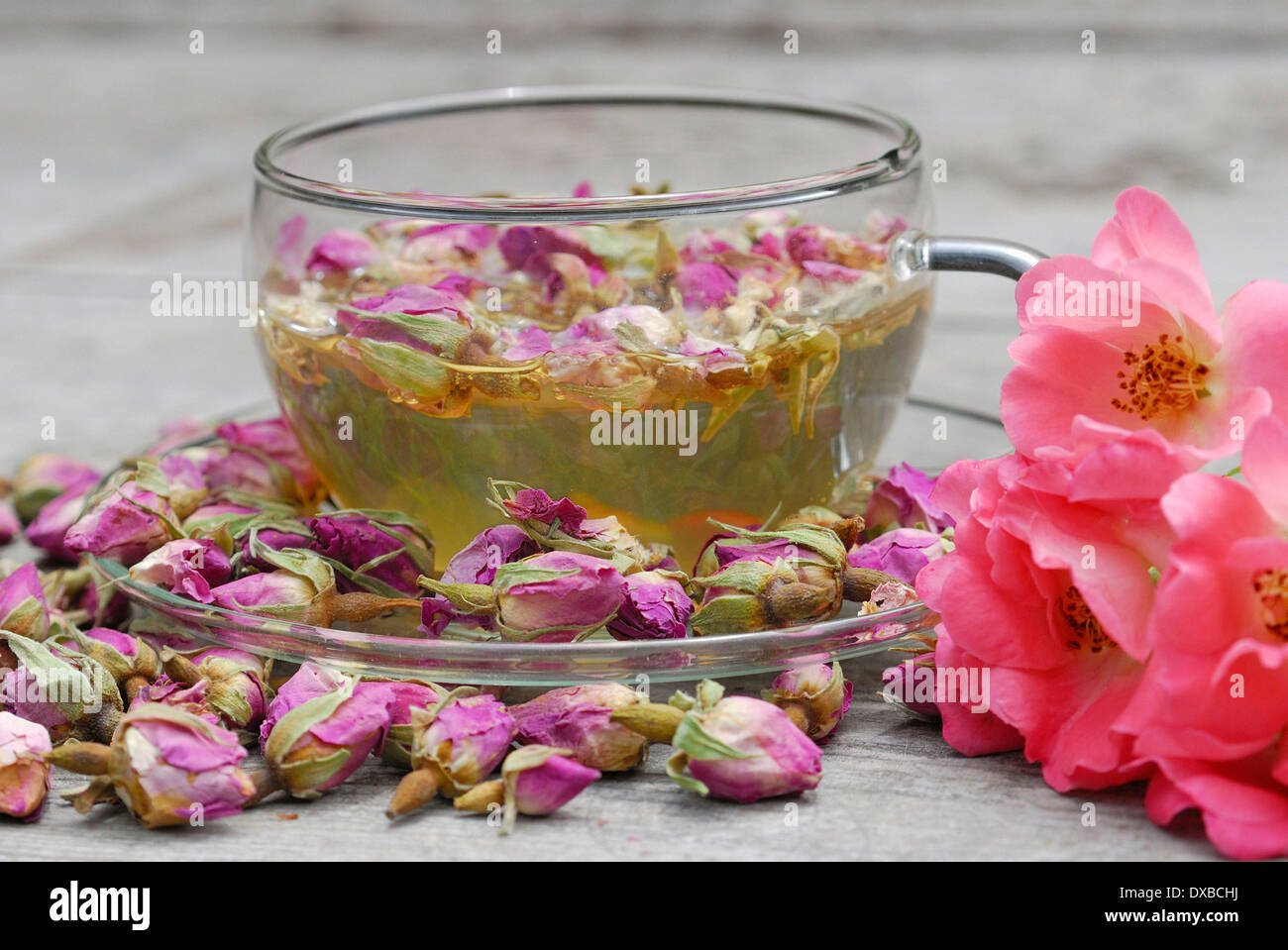 Tea rose color hi-res stock photography and images - Alamy