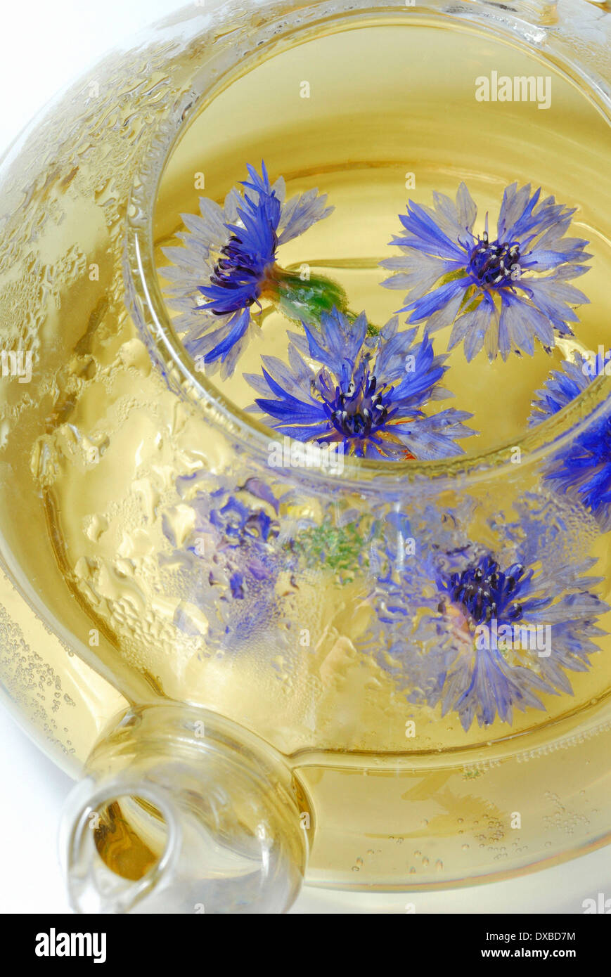 Cornflower centaurea tea hi-res stock photography and images - Alamy