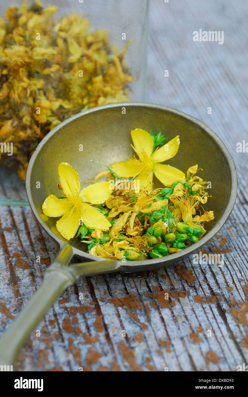 Hypericum perforatum medicine hi-res stock photography and images - Alamy