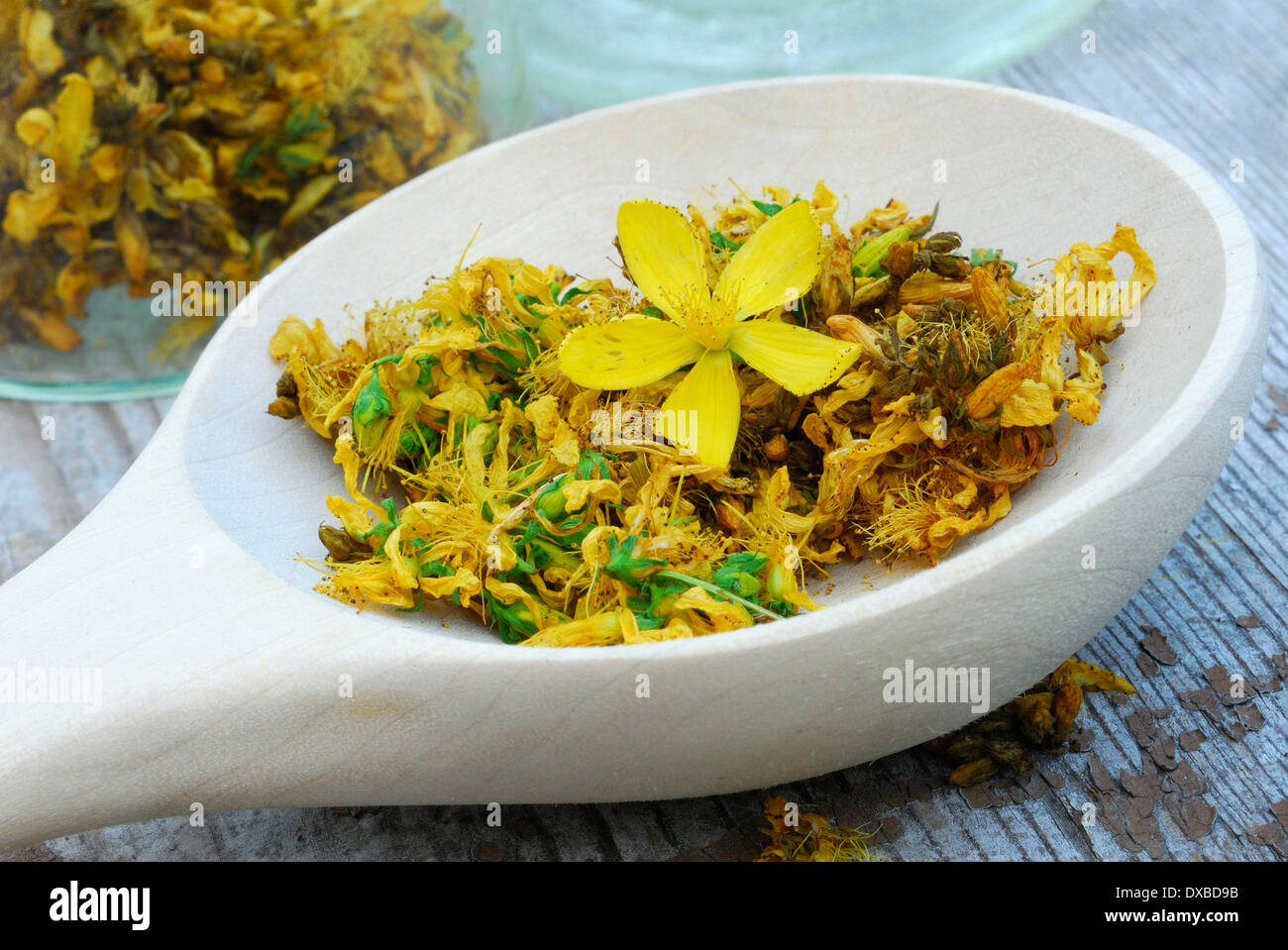 Hypericum Perforatum Medicine High Resolution Stock Photography and ...