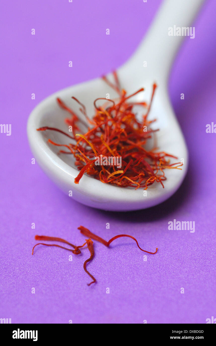 Crocus sativus isolated hi-res stock photography and images - Alamy