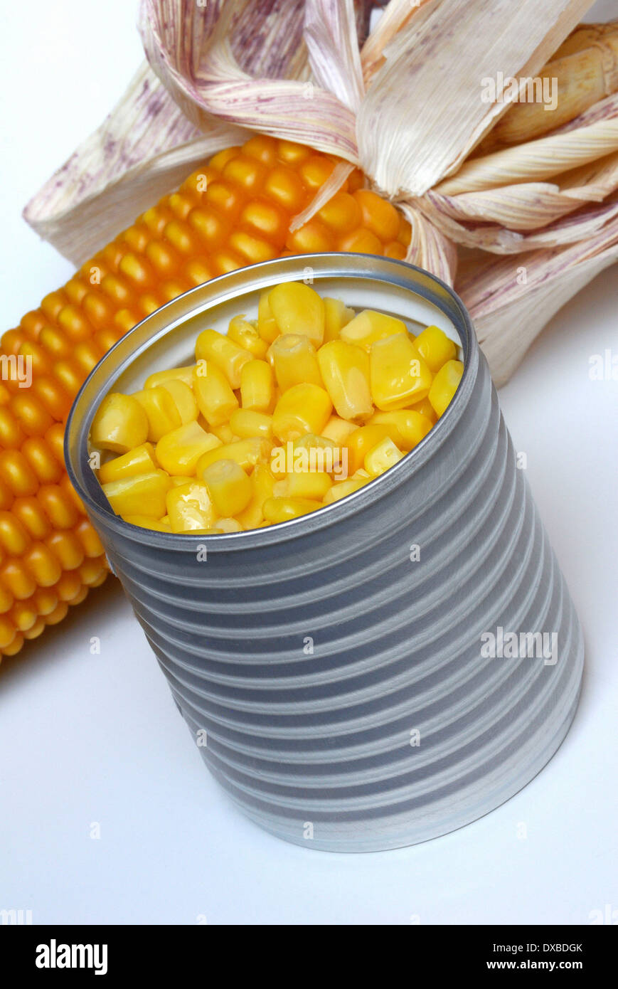 Maize maize hi-res stock photography and images - Alamy