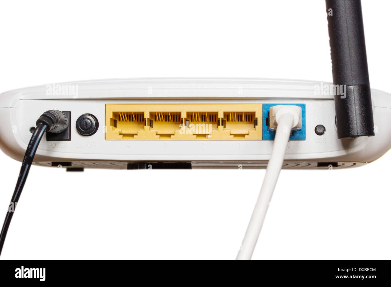 Plug nest hi-res stock photography and images - Alamy