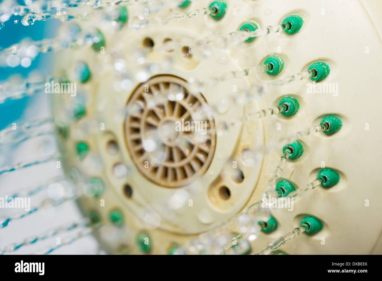 From a shower water in macro scale flows Stock Photo - Alamy