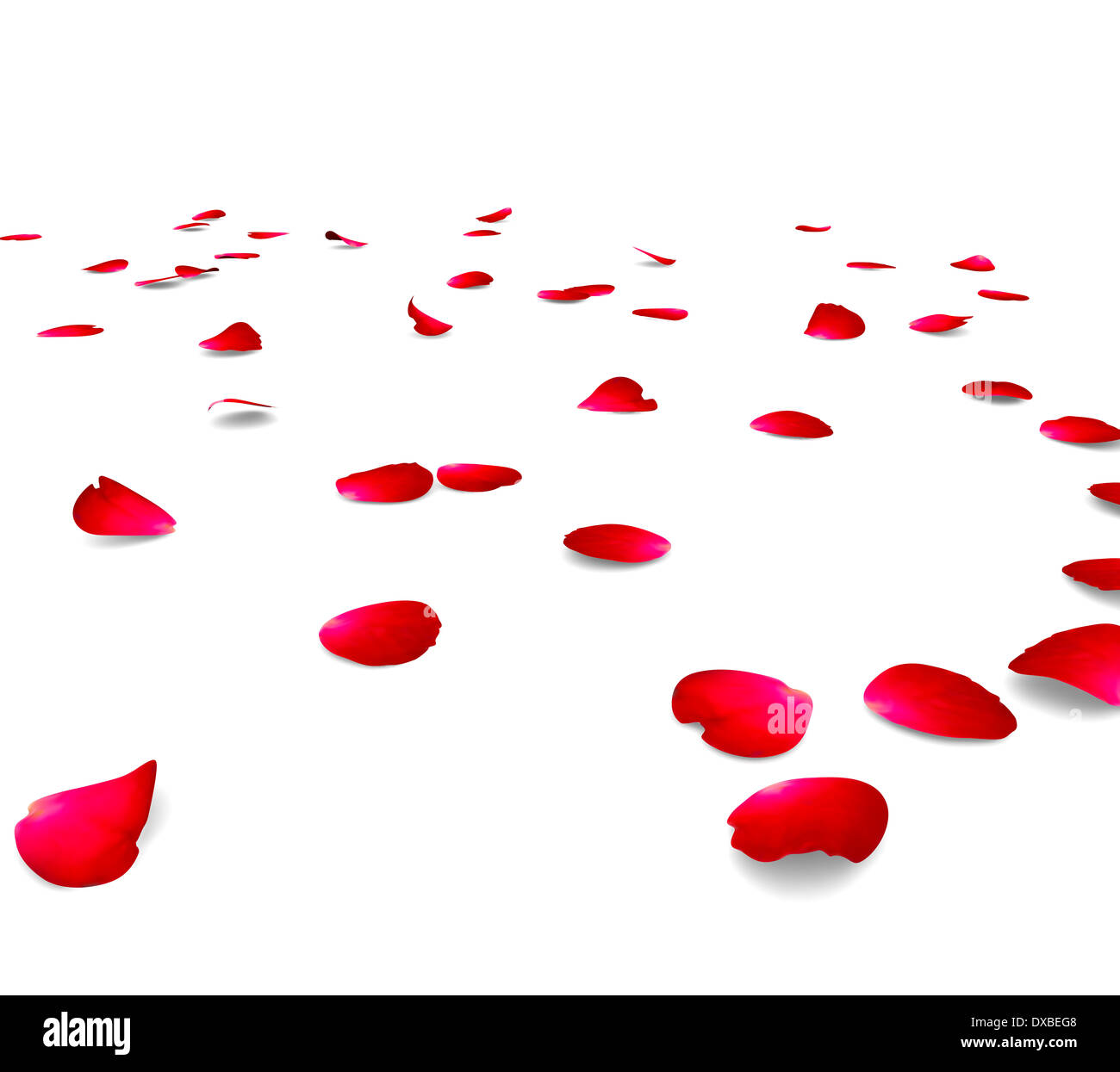 Petals of roses on a floor. The isolated background Stock Photo - Alamy