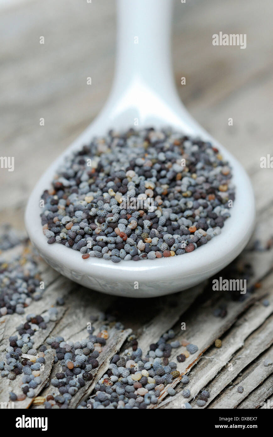 Poppy_seed hi-res stock photography and images - Alamy