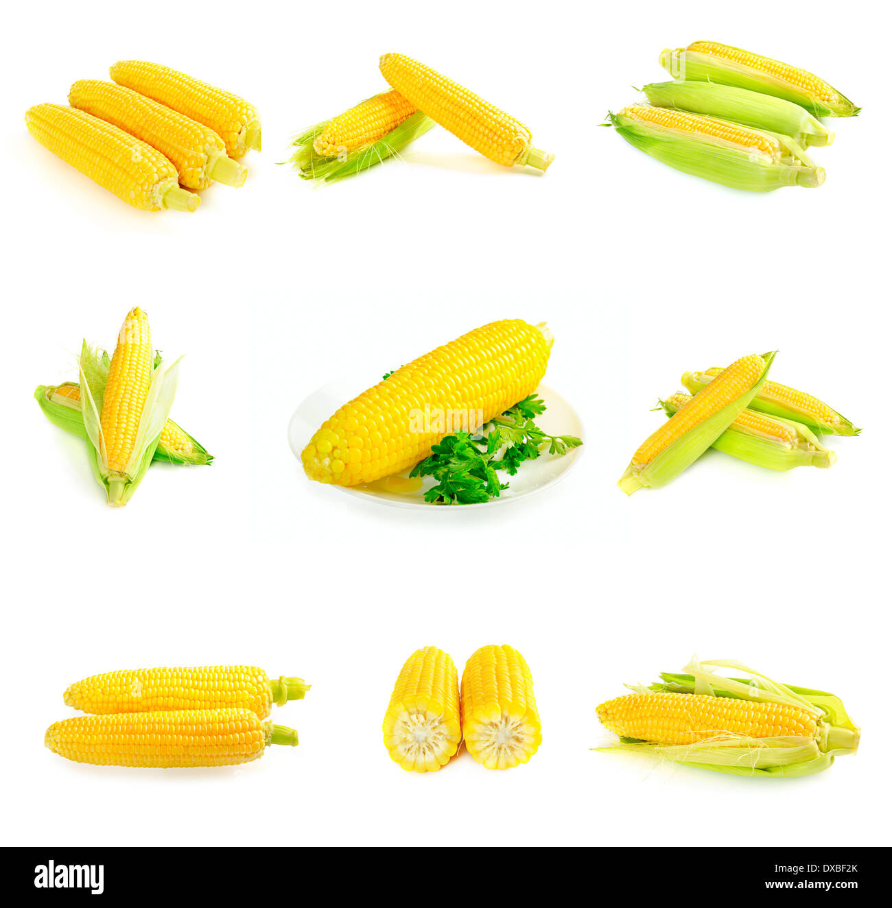 Green cobs Cut Out Stock Images & Pictures - Alamy