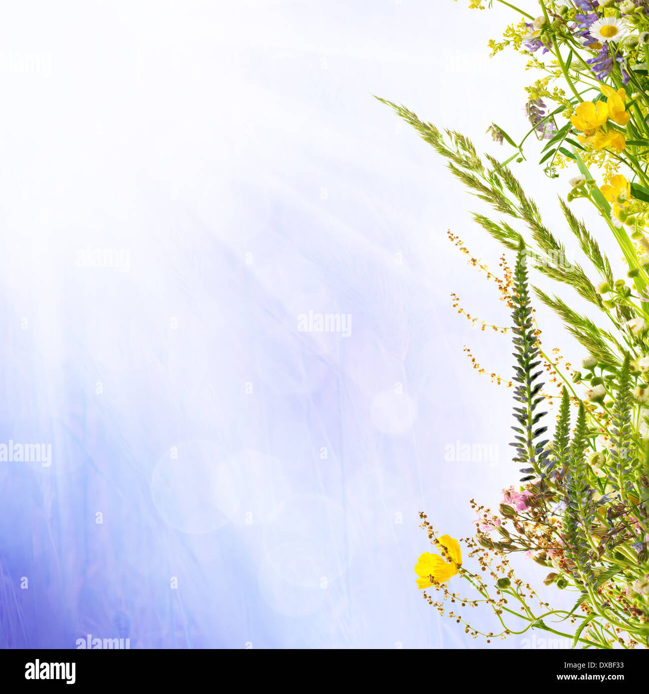 Floral easter background Stock Photo - Alamy