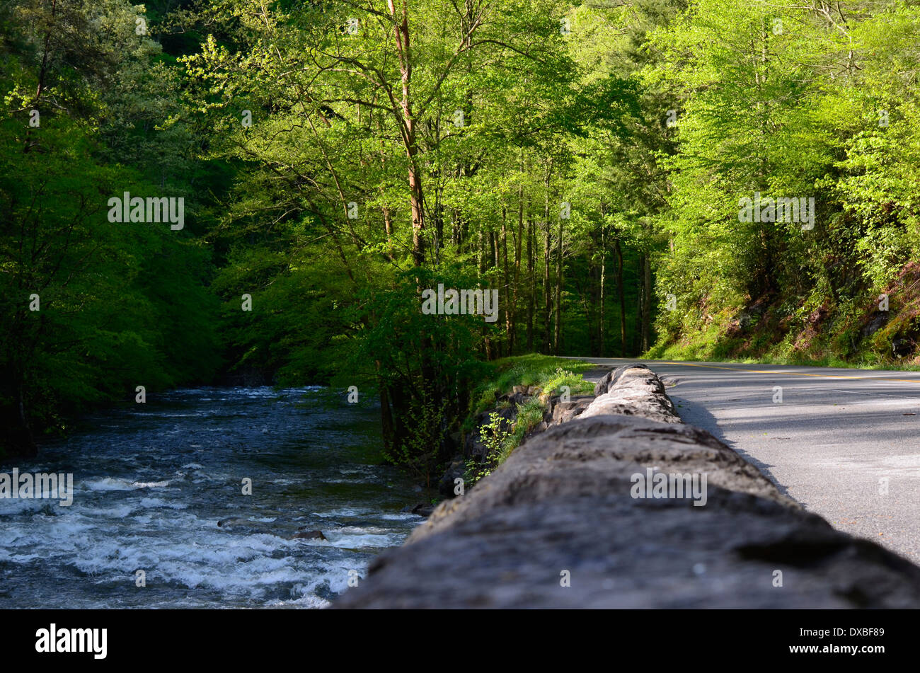 River running along side the road in the Great Smokey Mountain National ...