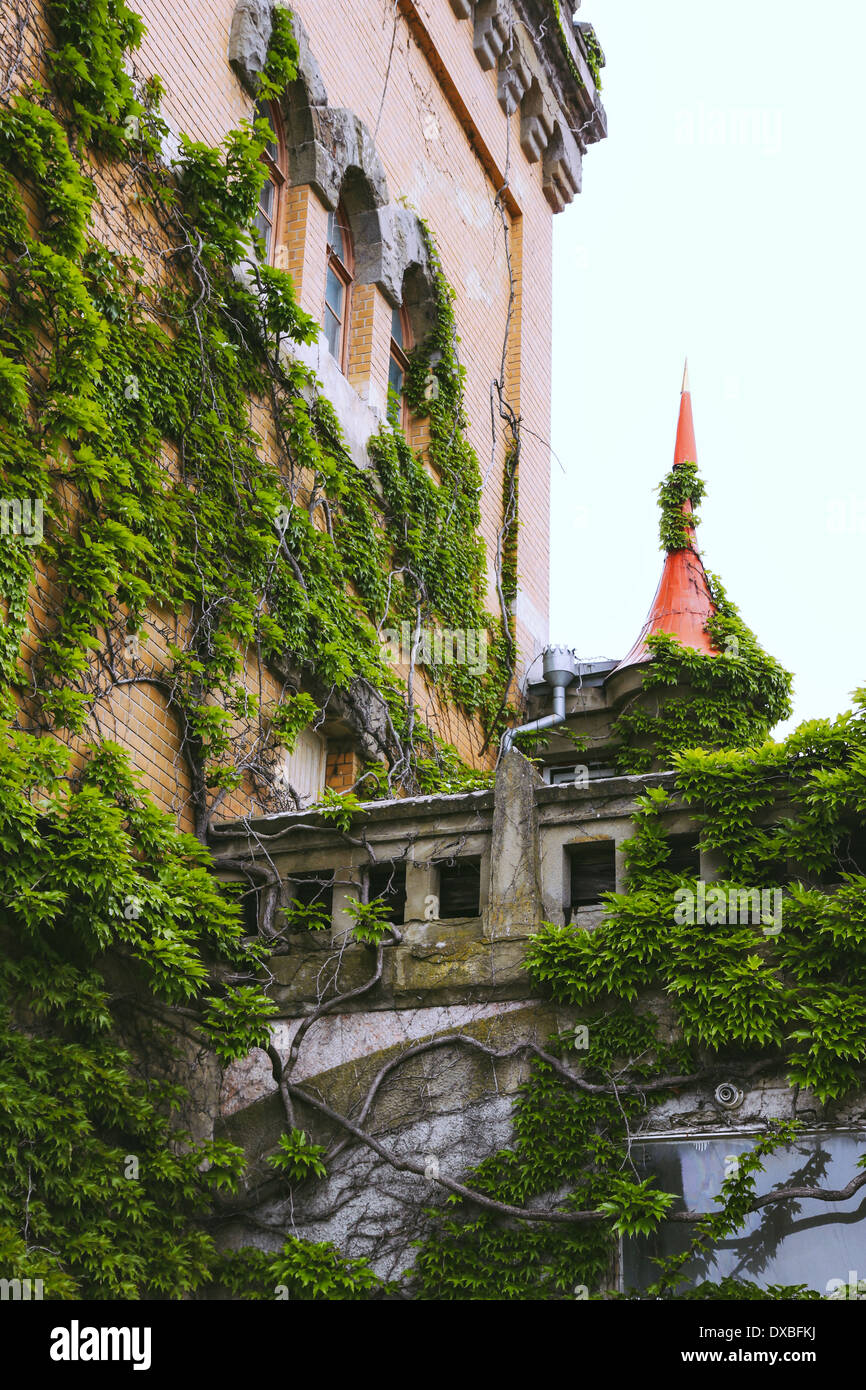 Ivy On Castle High Resolution Stock Photography and Images - Alamy