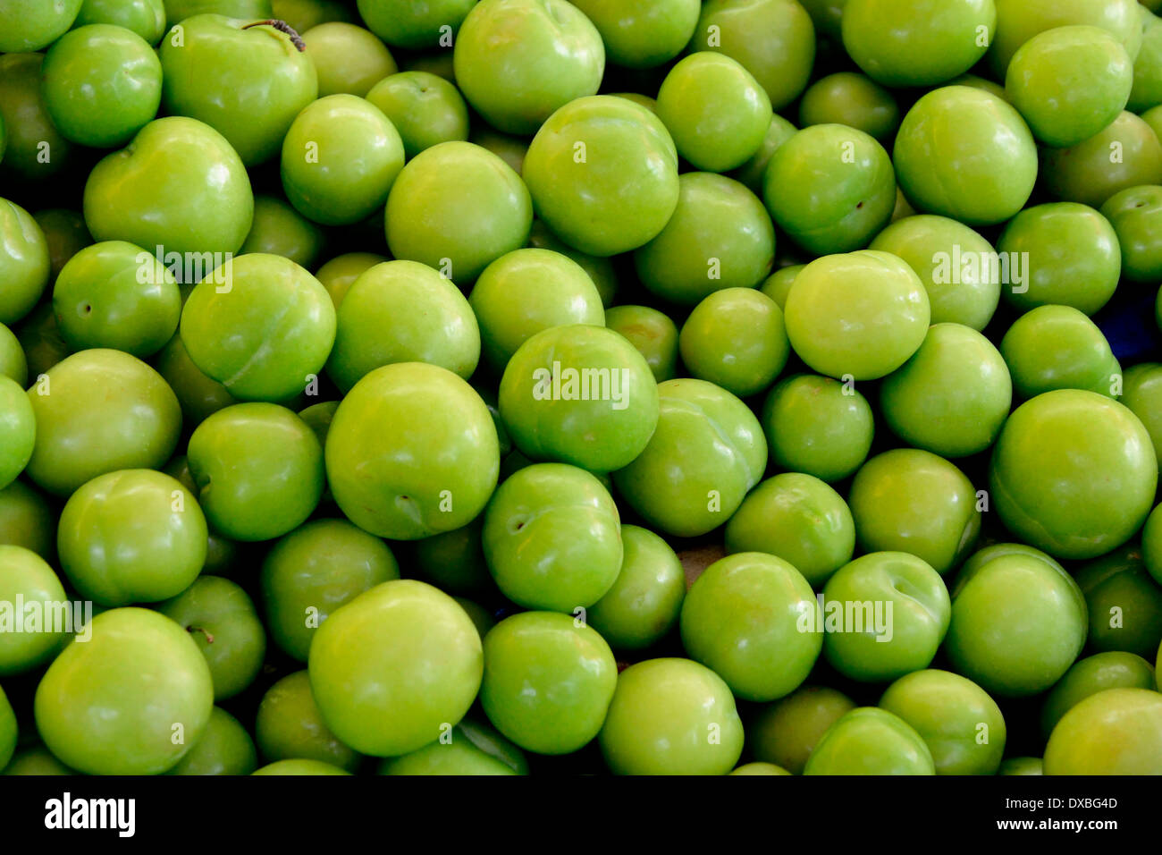 Mirabelle hi-res stock photography and images - Alamy