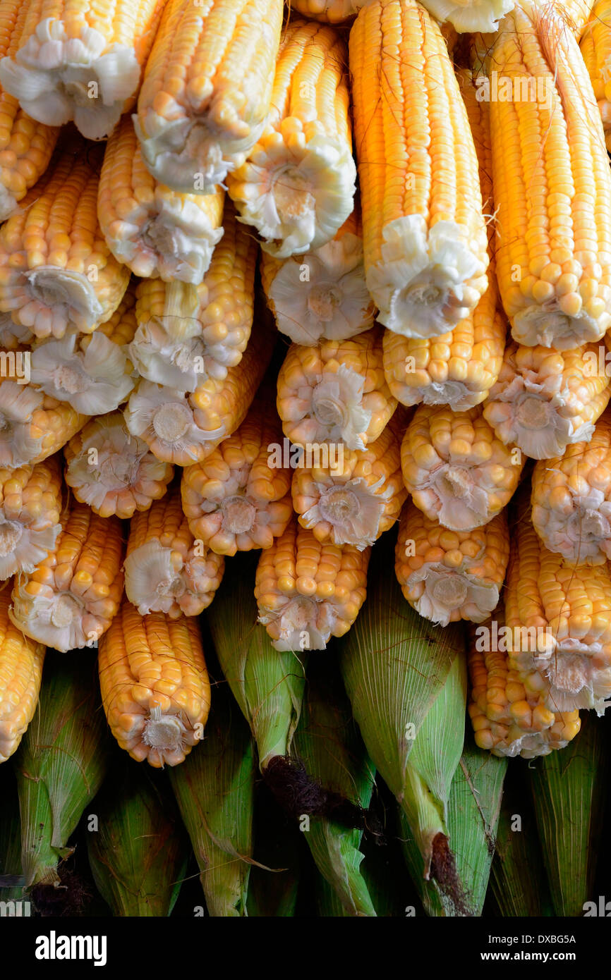 Corncobs hi-res stock photography and images - Alamy