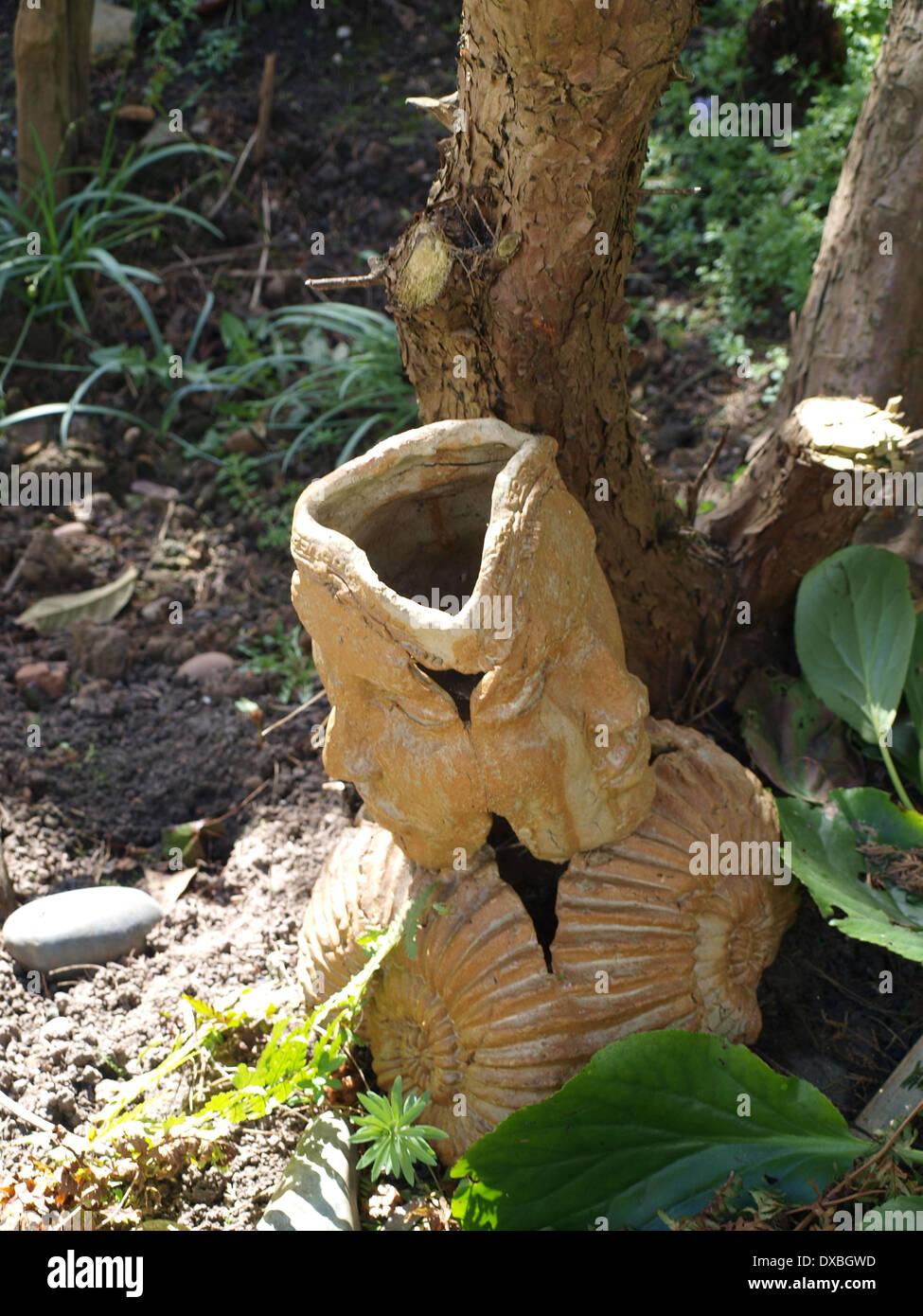 Two faced statue hi-res stock photography and images - Alamy