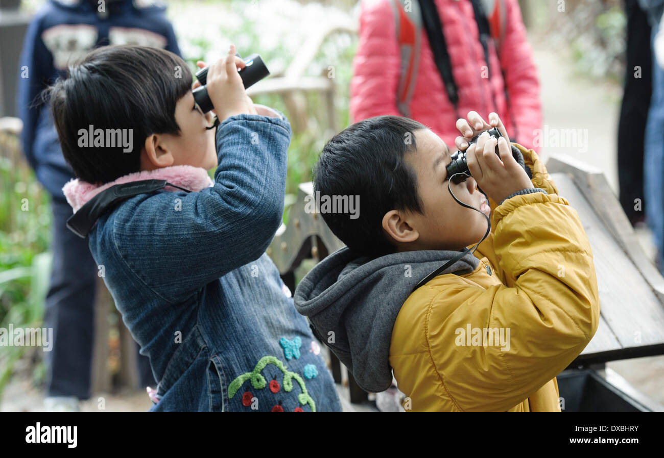 Children watching birds hi-res stock photography and images - Alamy