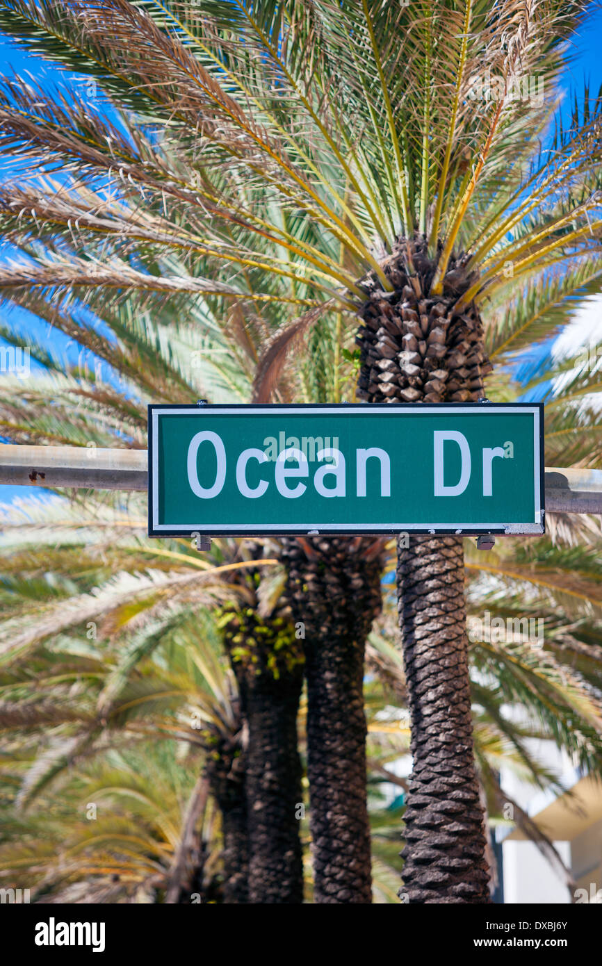 Most Famous Street In Miami Beach at Steven Waddy blog