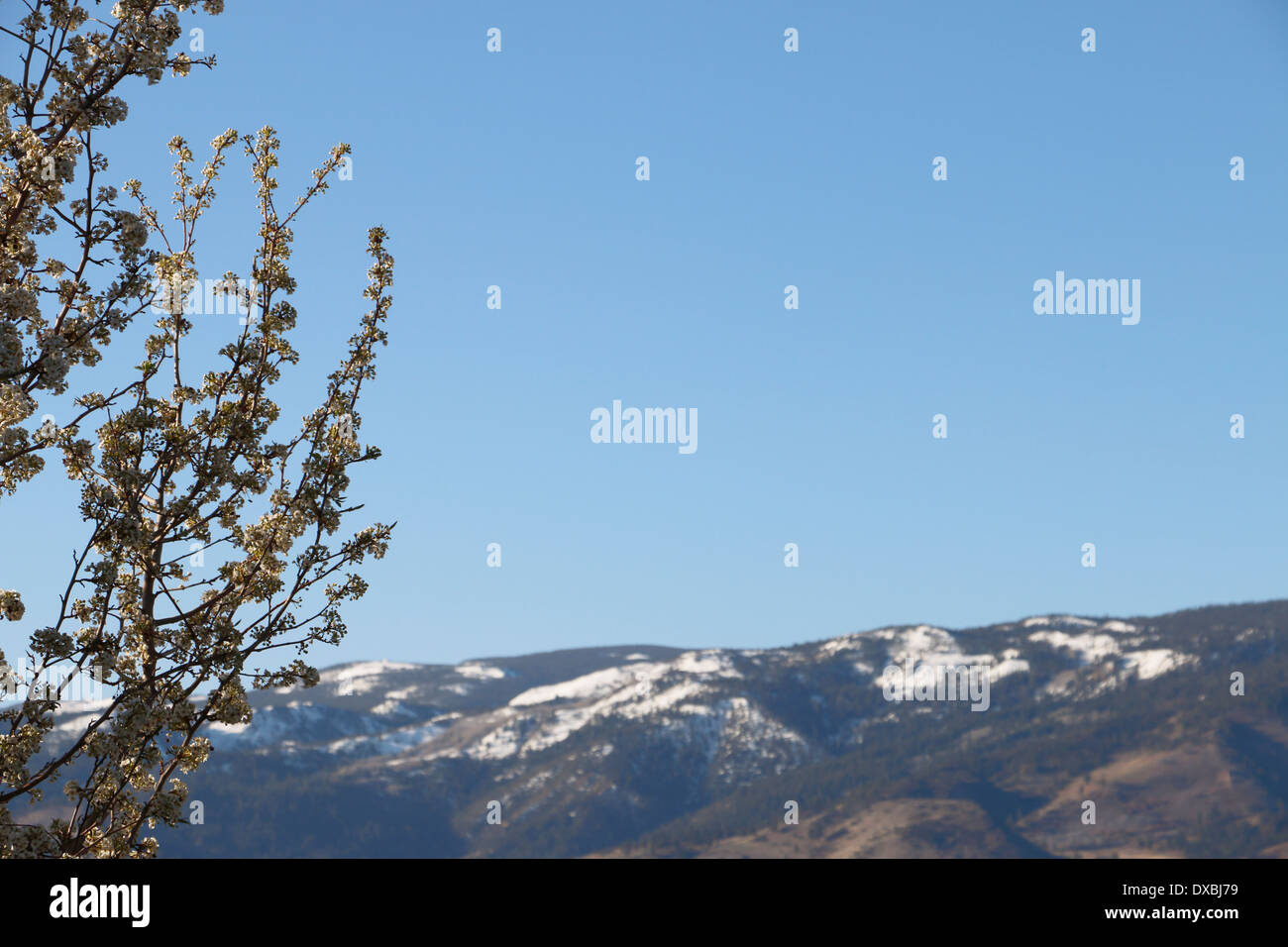 Very little snow hi-res stock photography and images - Alamy