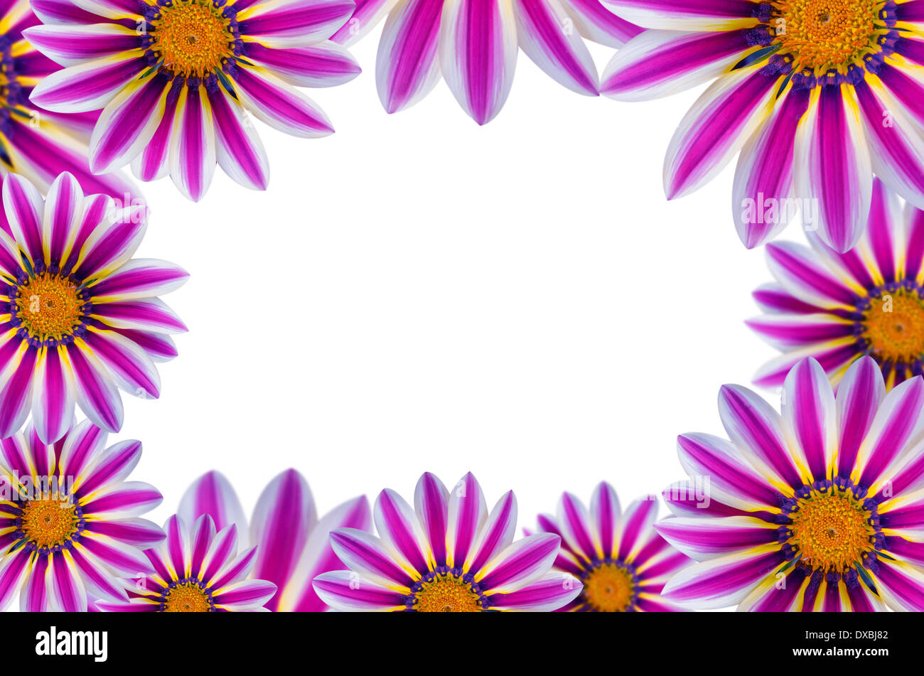 daisy flowers border with copy space , flower background Stock Photo ...