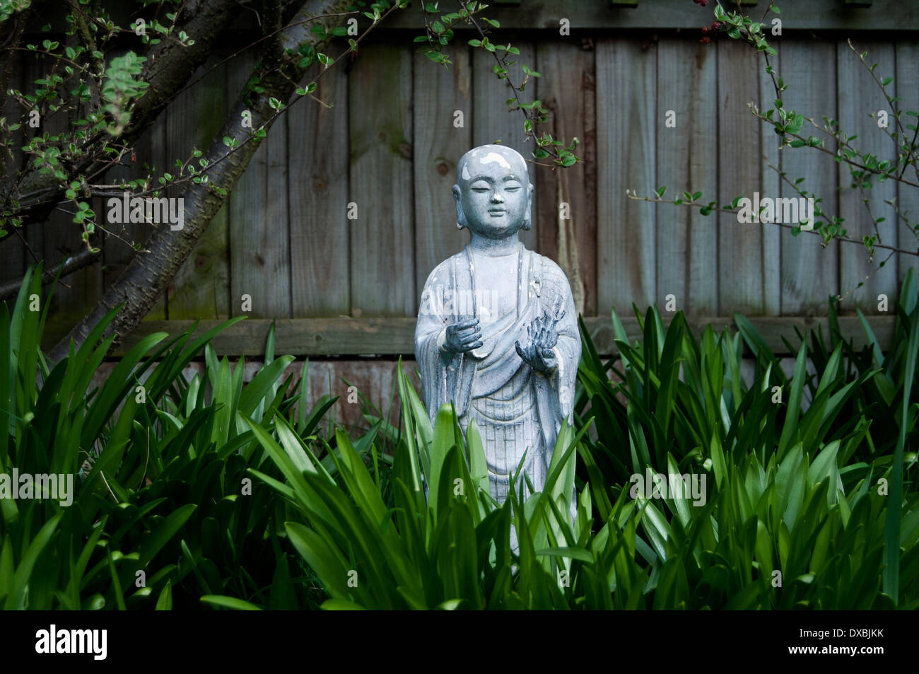 Peaceful statue of buddha hi-res stock photography and images - Alamy