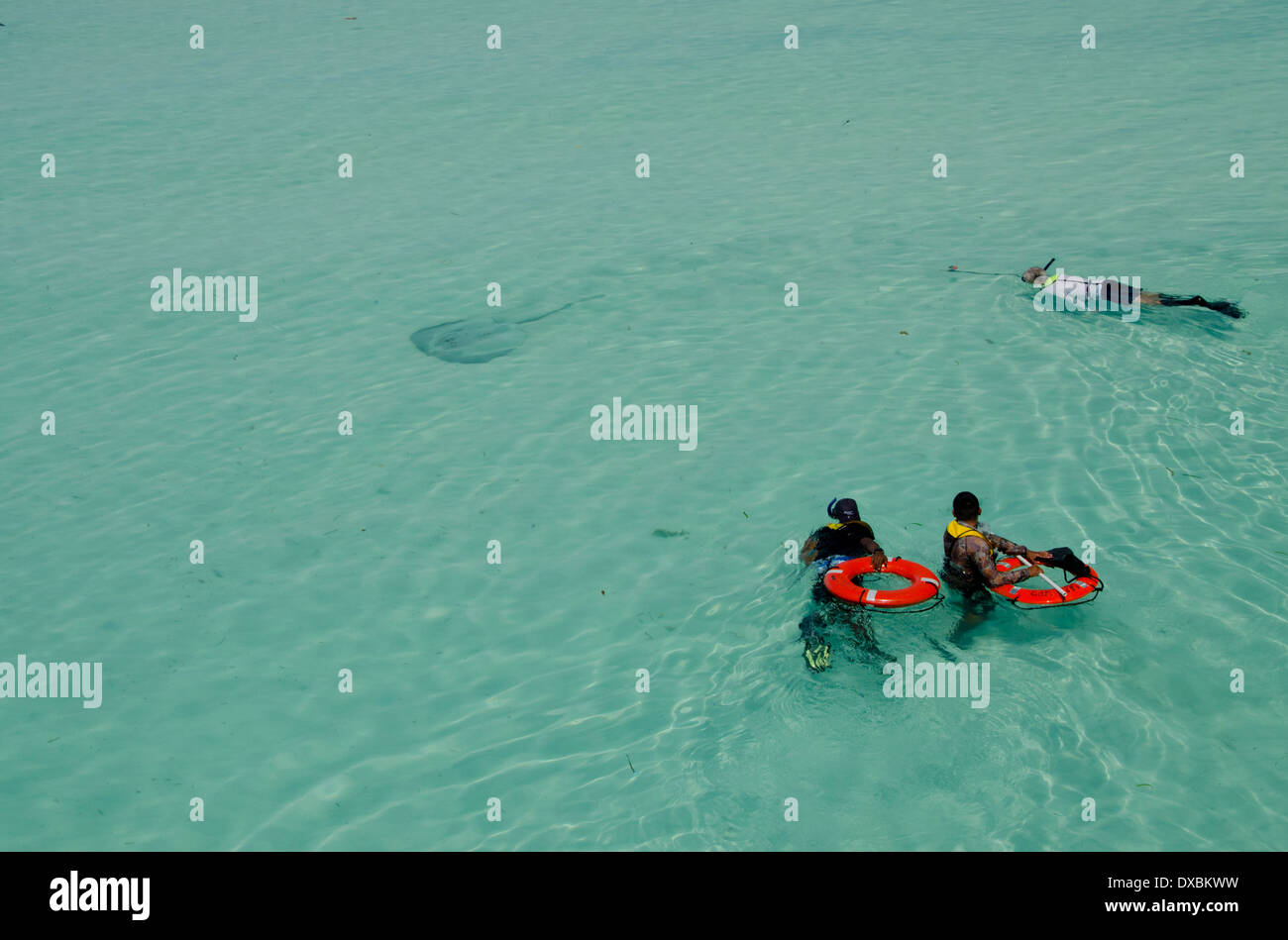 Belize, Caribbean Sea, District of Toledo, The Cayes. West Snake Caye ...