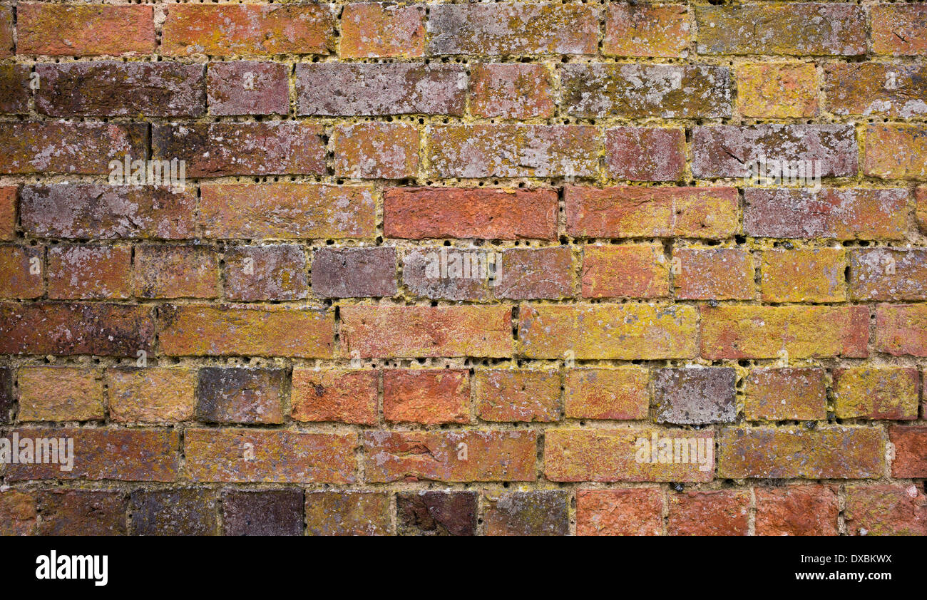 Weather damaged bricks hi-res stock photography and images - Alamy