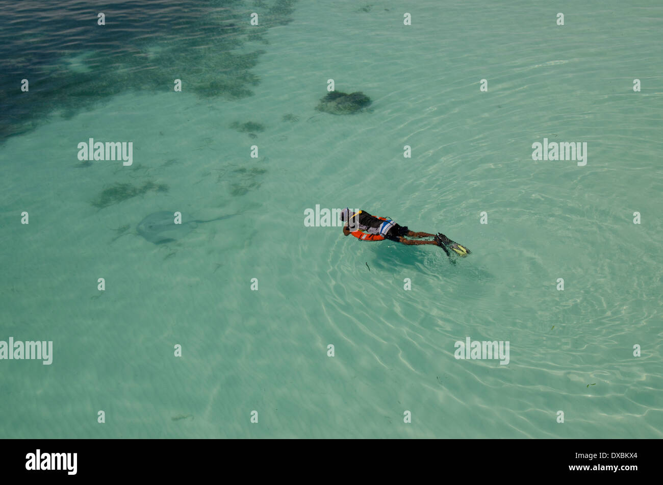 Belize, Caribbean Sea, District of Toledo, The Cayes. West Snake Caye ...