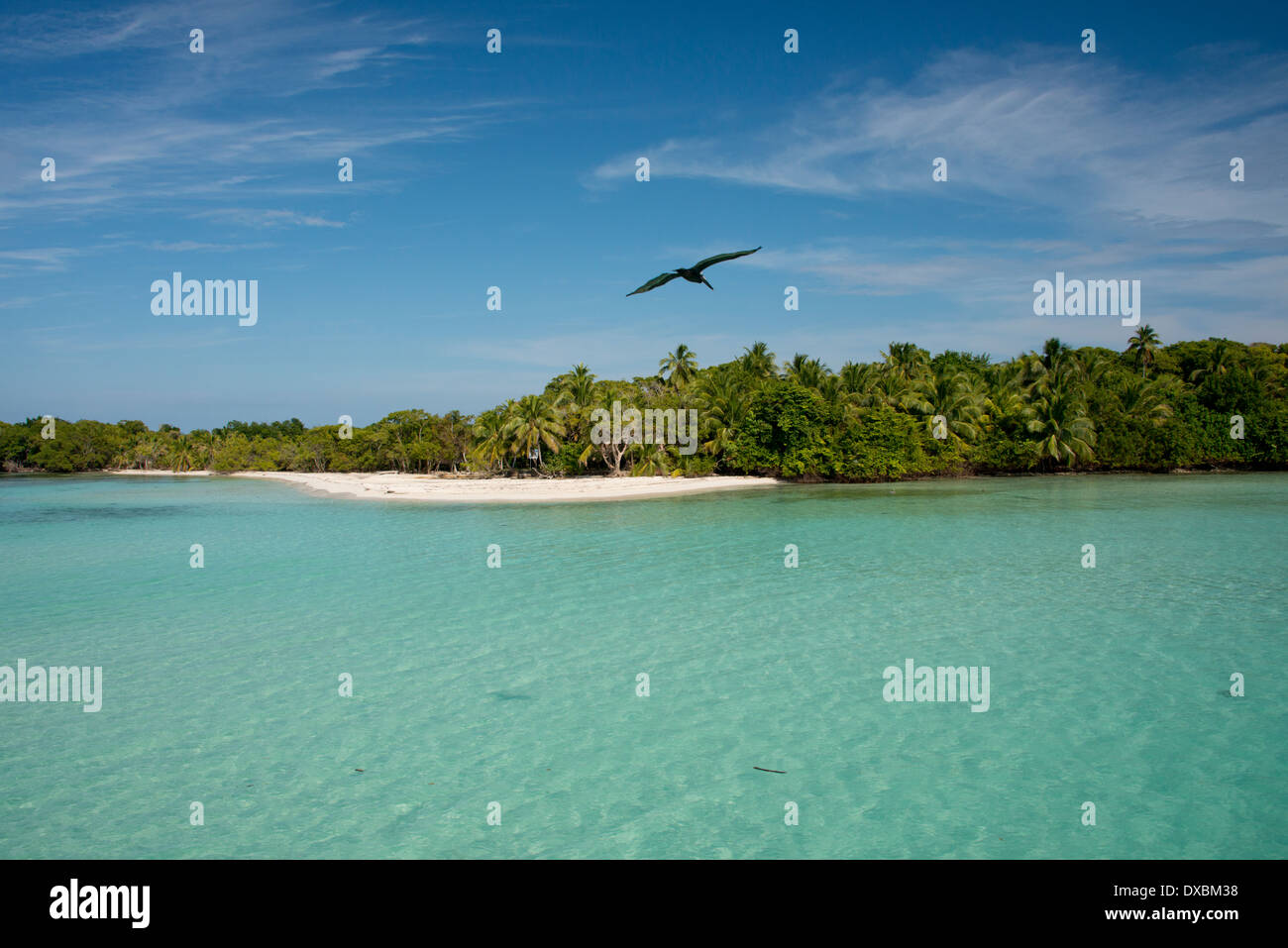 Belize, Caribbean Sea, District of Toledo, The Cayes. West Snake Caye ...