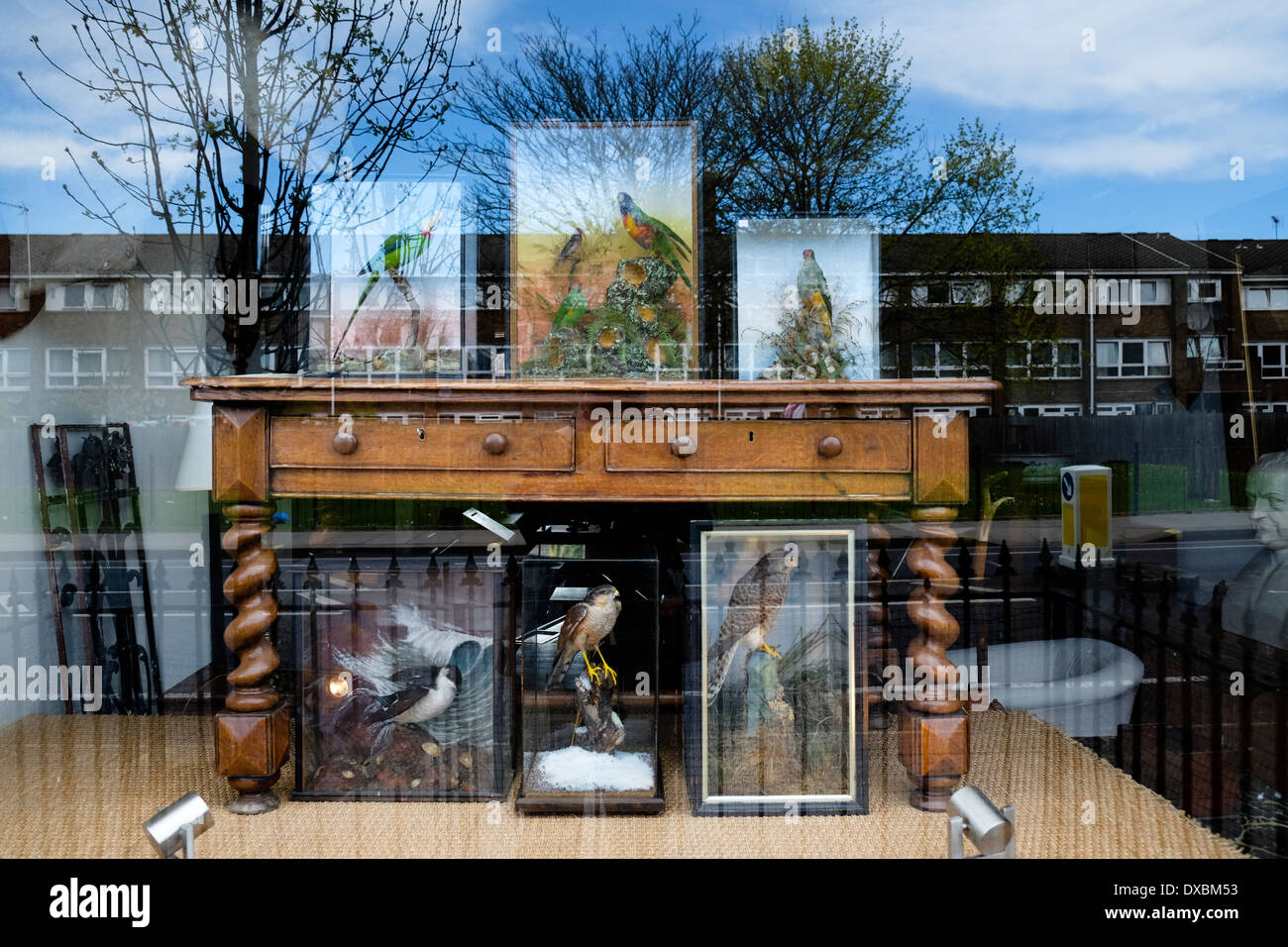 Antique Shop Window Stock Photo - Alamy