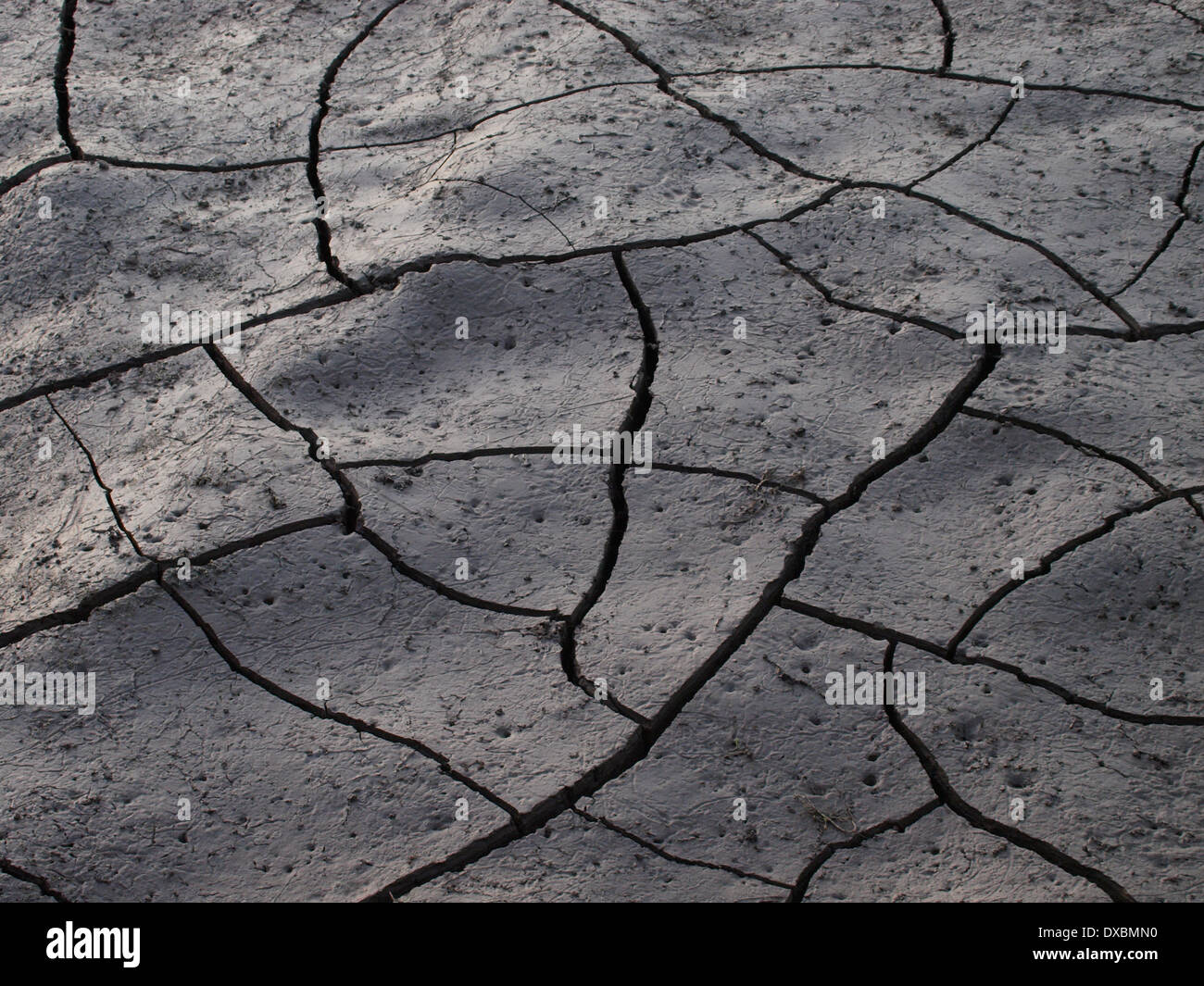 Cracks in the mud hi-res stock photography and images - Alamy