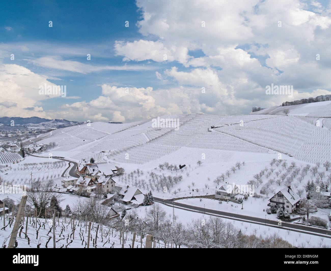 Reben rebberge hi-res stock photography and images - Alamy