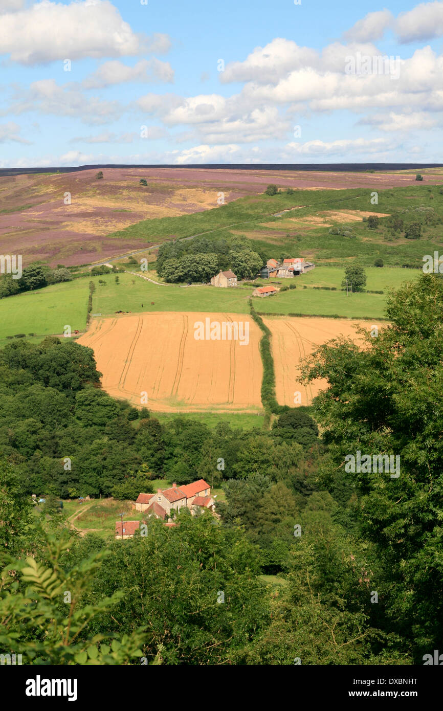 Surprise View to Farndale Gillamoor North Yorkshire England UK Stock ...