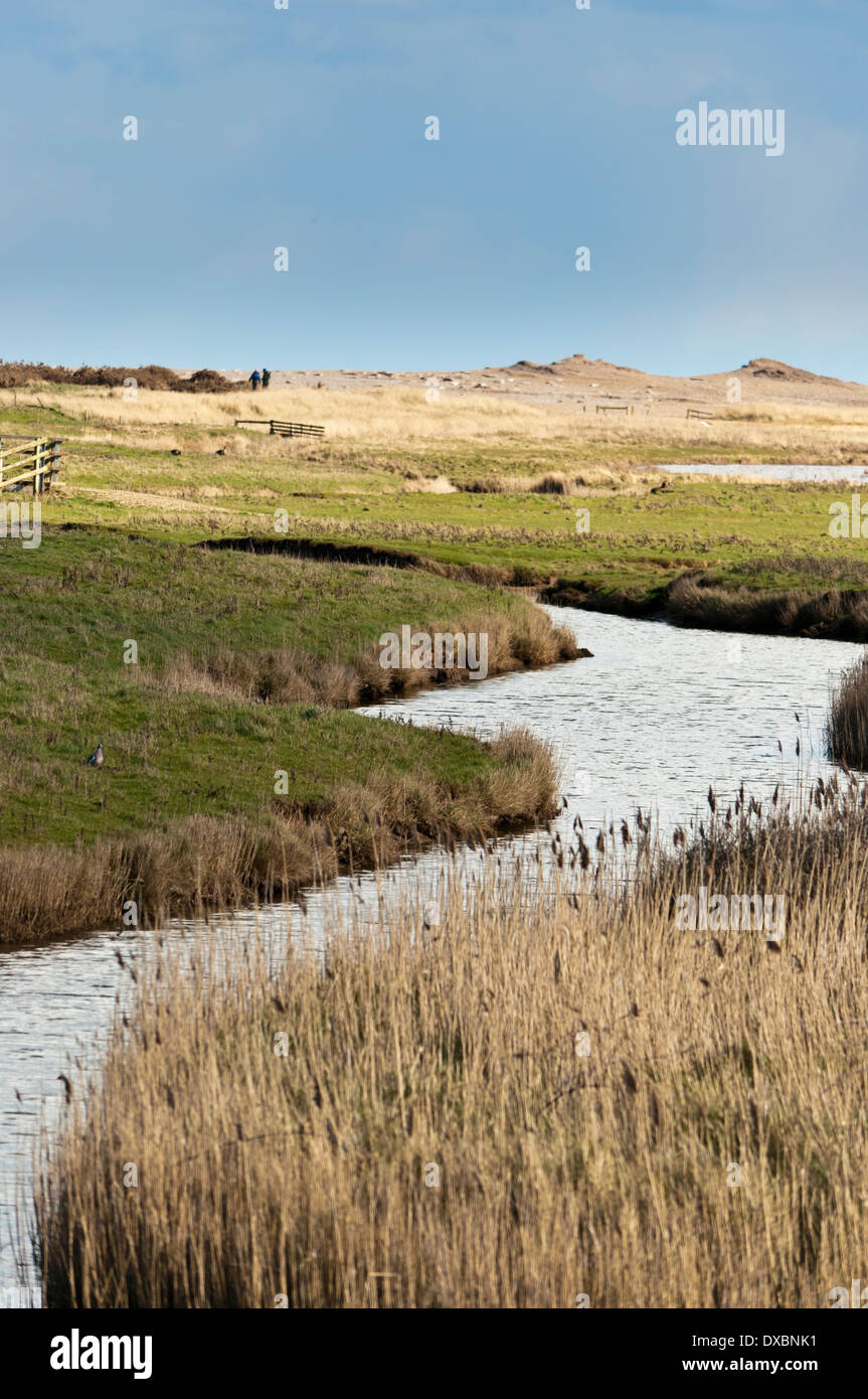 Salt marshes cley norfolk, uk hi-res stock photography and images - Alamy