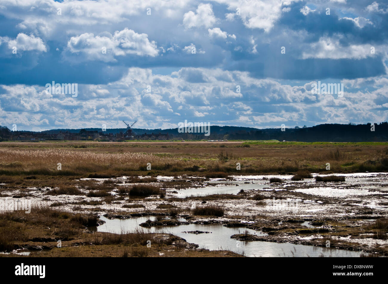 Salt marshs hi-res stock photography and images - Alamy
