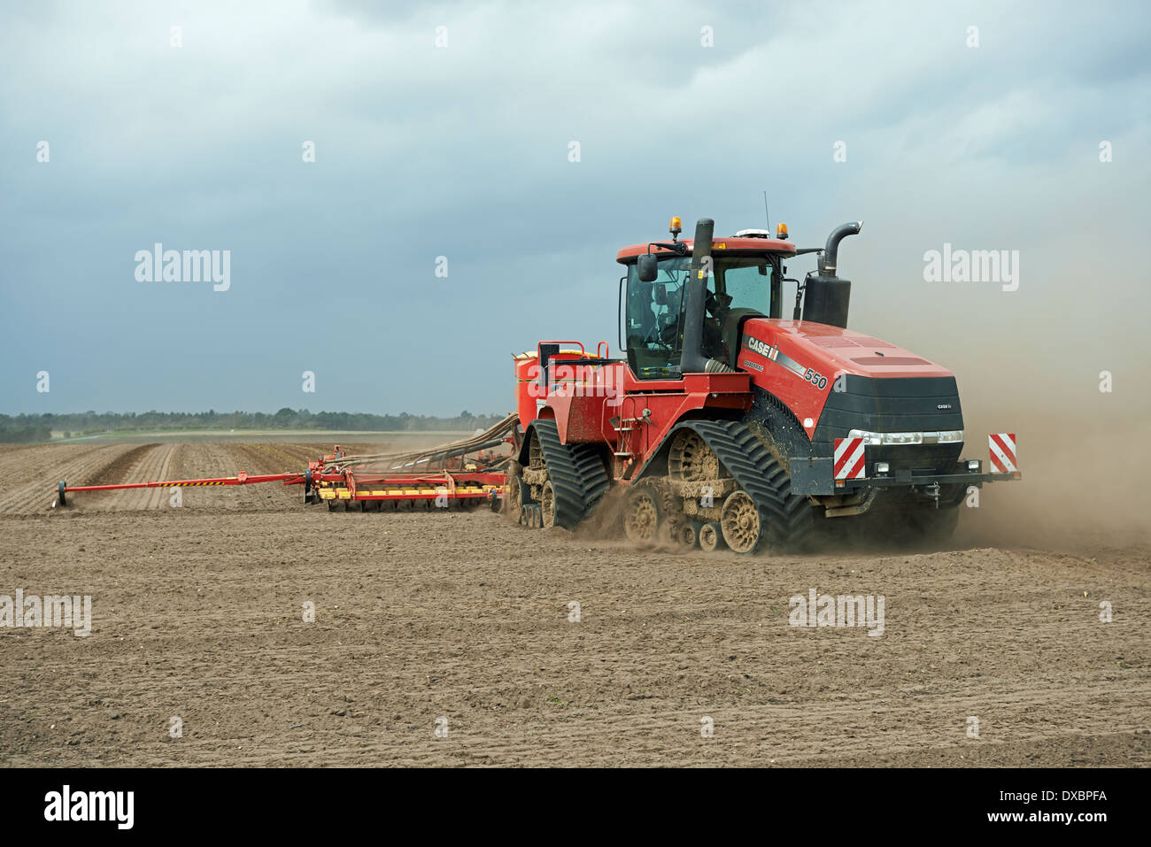 Case Quadtrac 550 tractor sewing barley on light soil, Sutton Heath ...