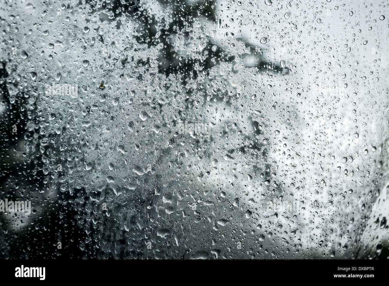 rain drops on a transparent plastics Stock Photo - Alamy