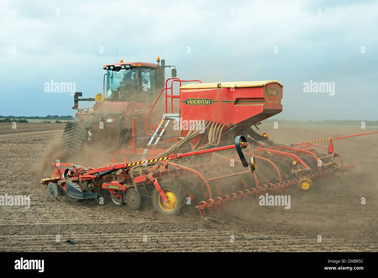 Barley being sewn on light soil in the Suffolk Sandlings, UK Stock ...