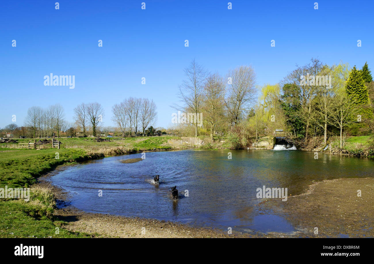 The gently flowing "River Bure" meanders through parts of "North ...