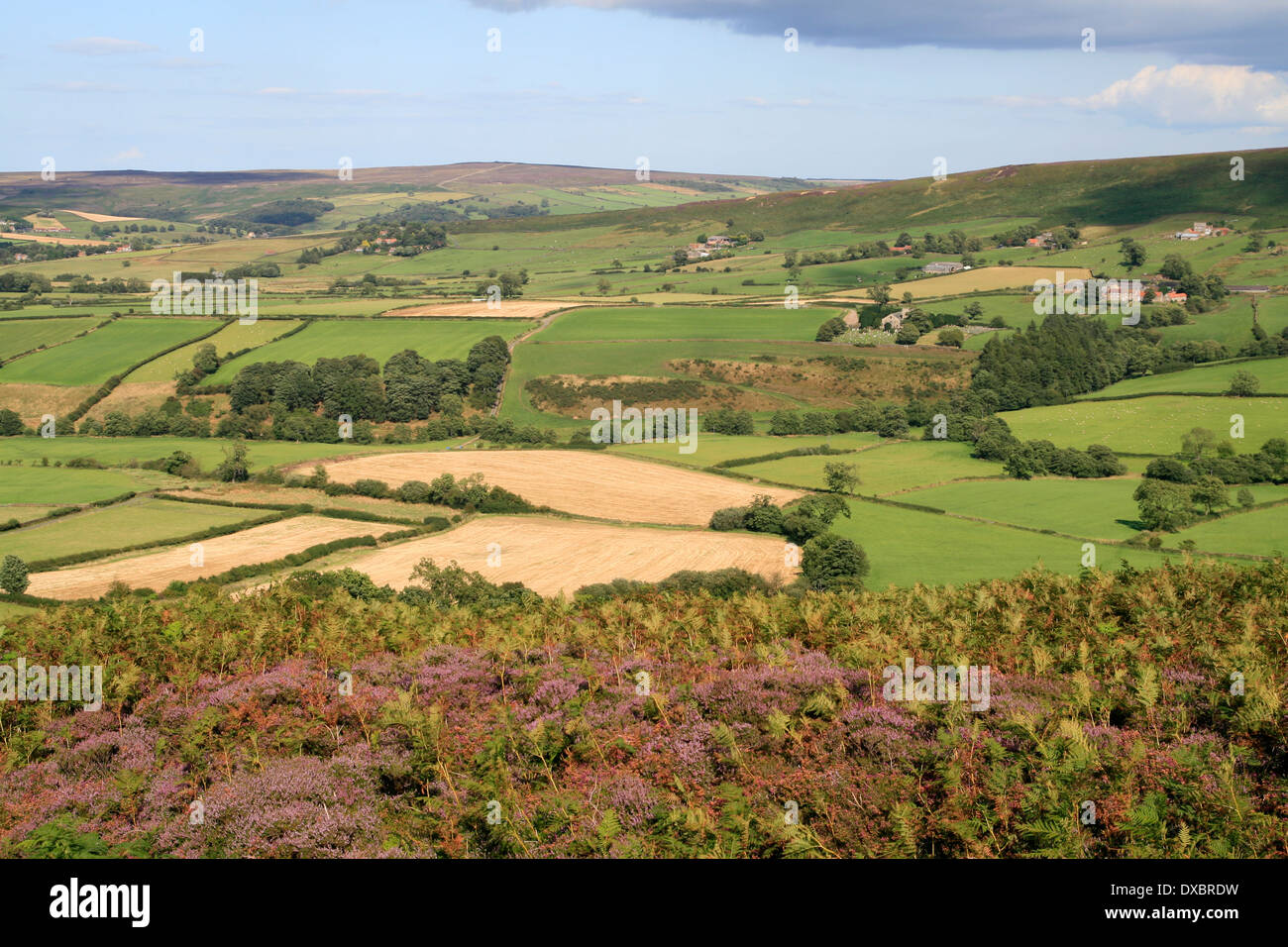 Danby Dale from Castleton Rigg North Yorkshire England UK Stock Photo ...