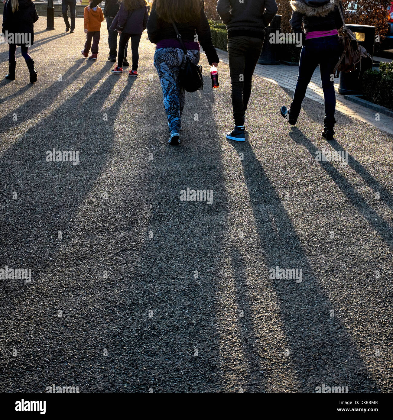 People walking home cast long shadows on tar pavement at dusk Stock ...