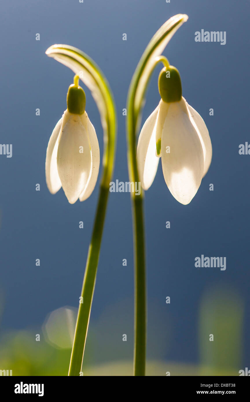 Spec of light hi-res stock photography and images - Alamy